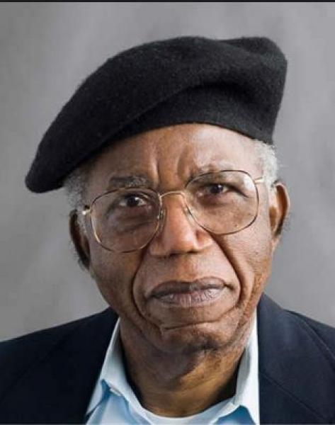 ACHEBE, Prof Albert Chinualumogu – Biographical Legacy and Research ...